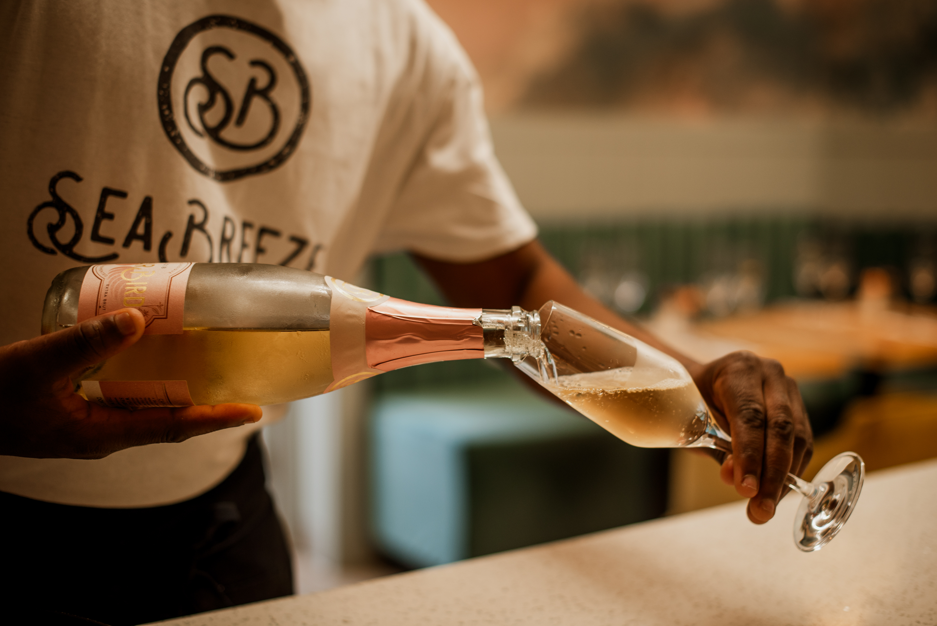 GALLERY | SeaBreeze - Fish and Shell
