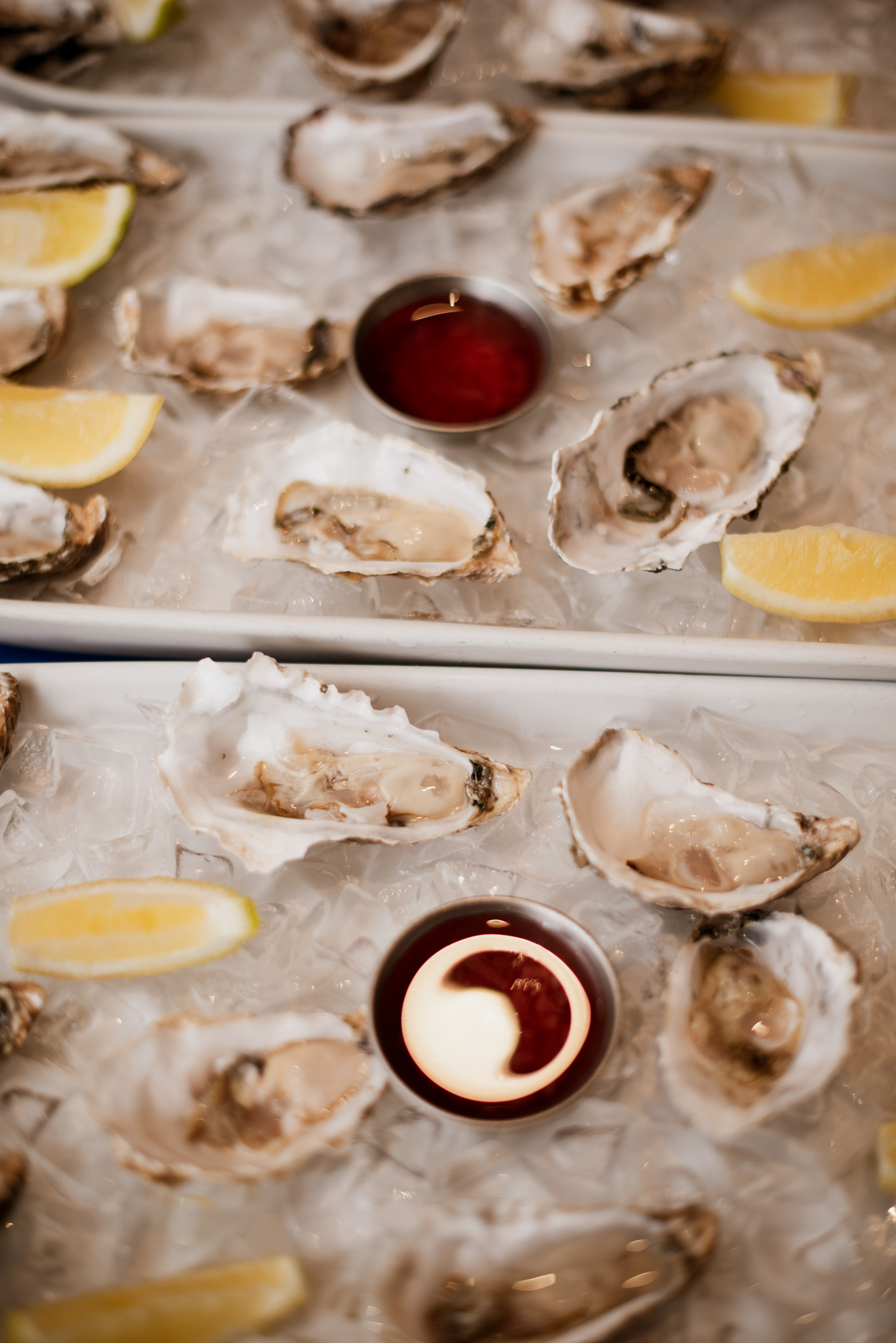 GALLERY | SeaBreeze - Fish and Shell