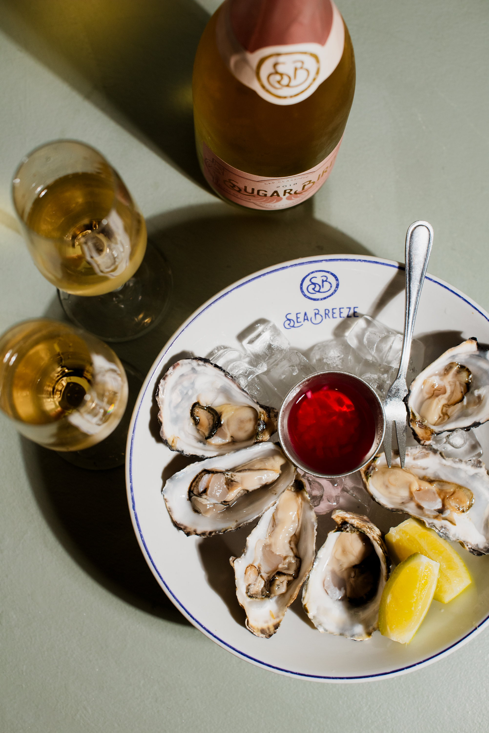 GALLERY | SeaBreeze - Fish and Shell