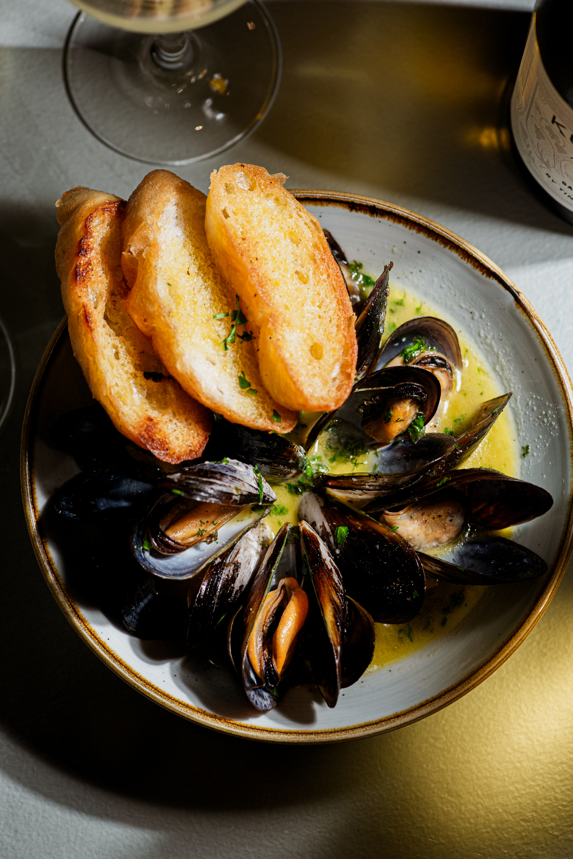 GALLERY | SeaBreeze - Fish and Shell