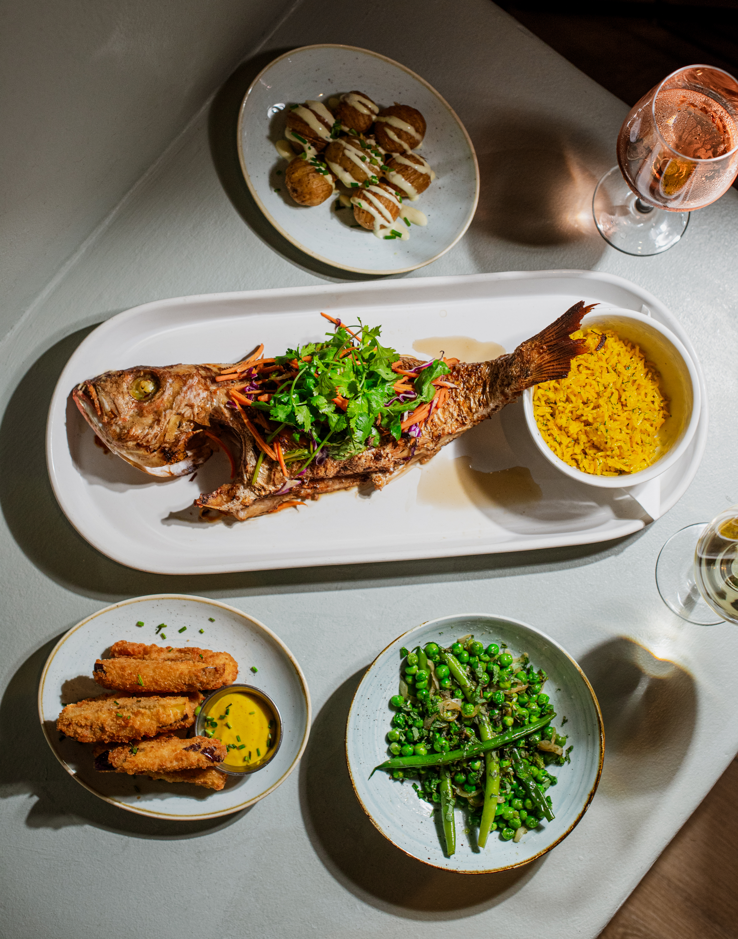 GALLERY | SeaBreeze - Fish and Shell